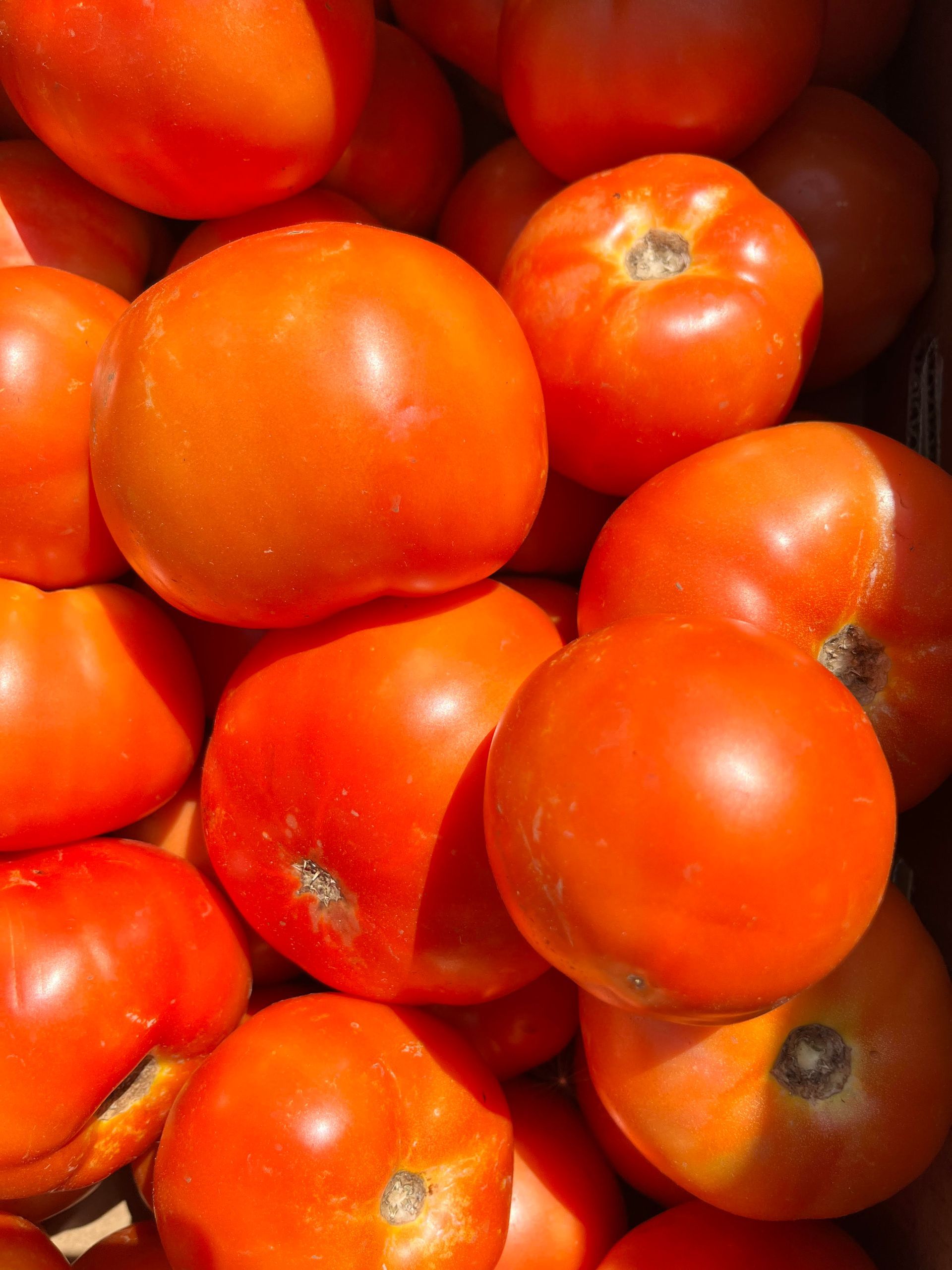 Produce Market | Everett, WA | 425-259-4702