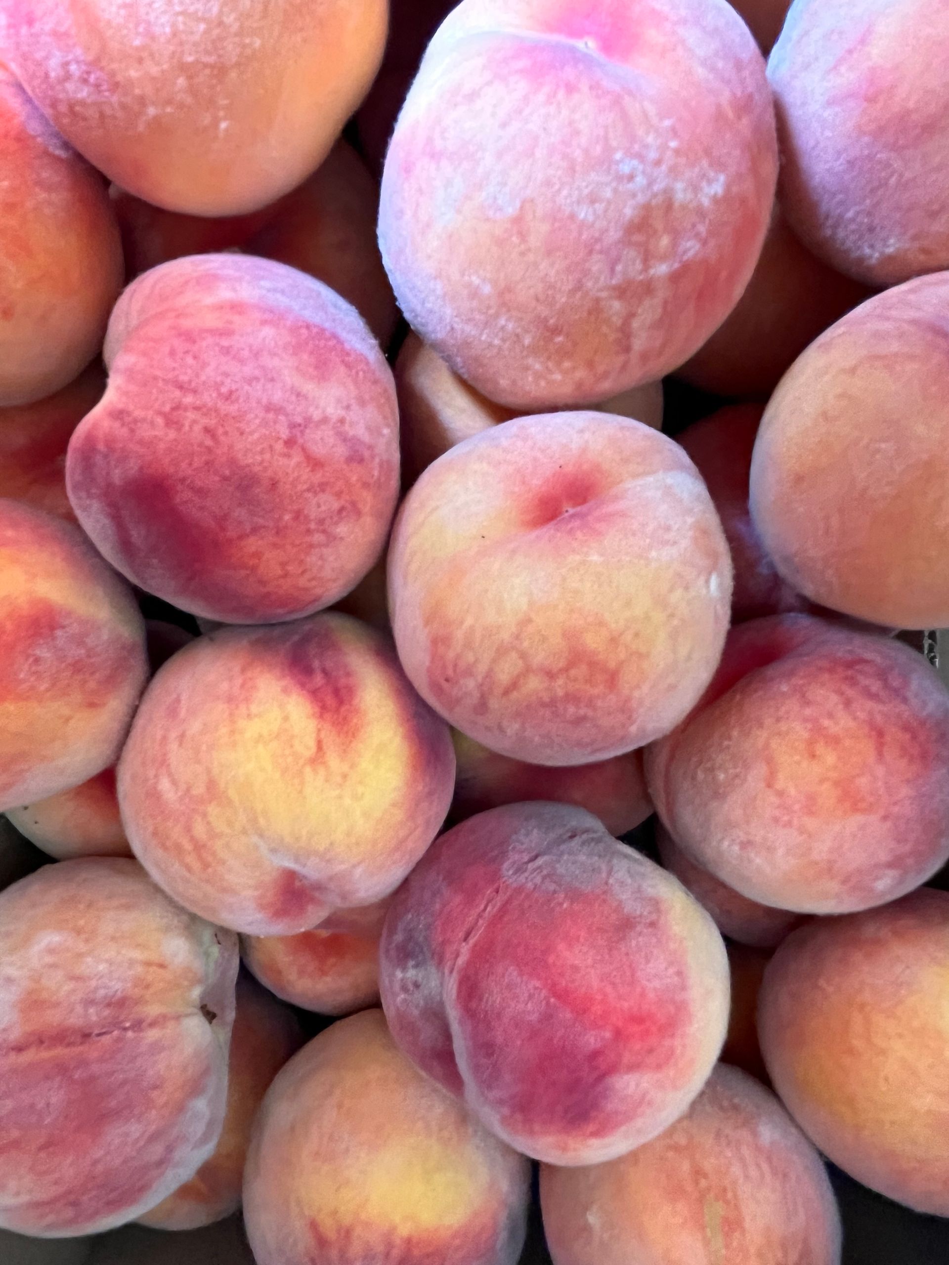 Produce Market | Everett, WA | 425-259-4702