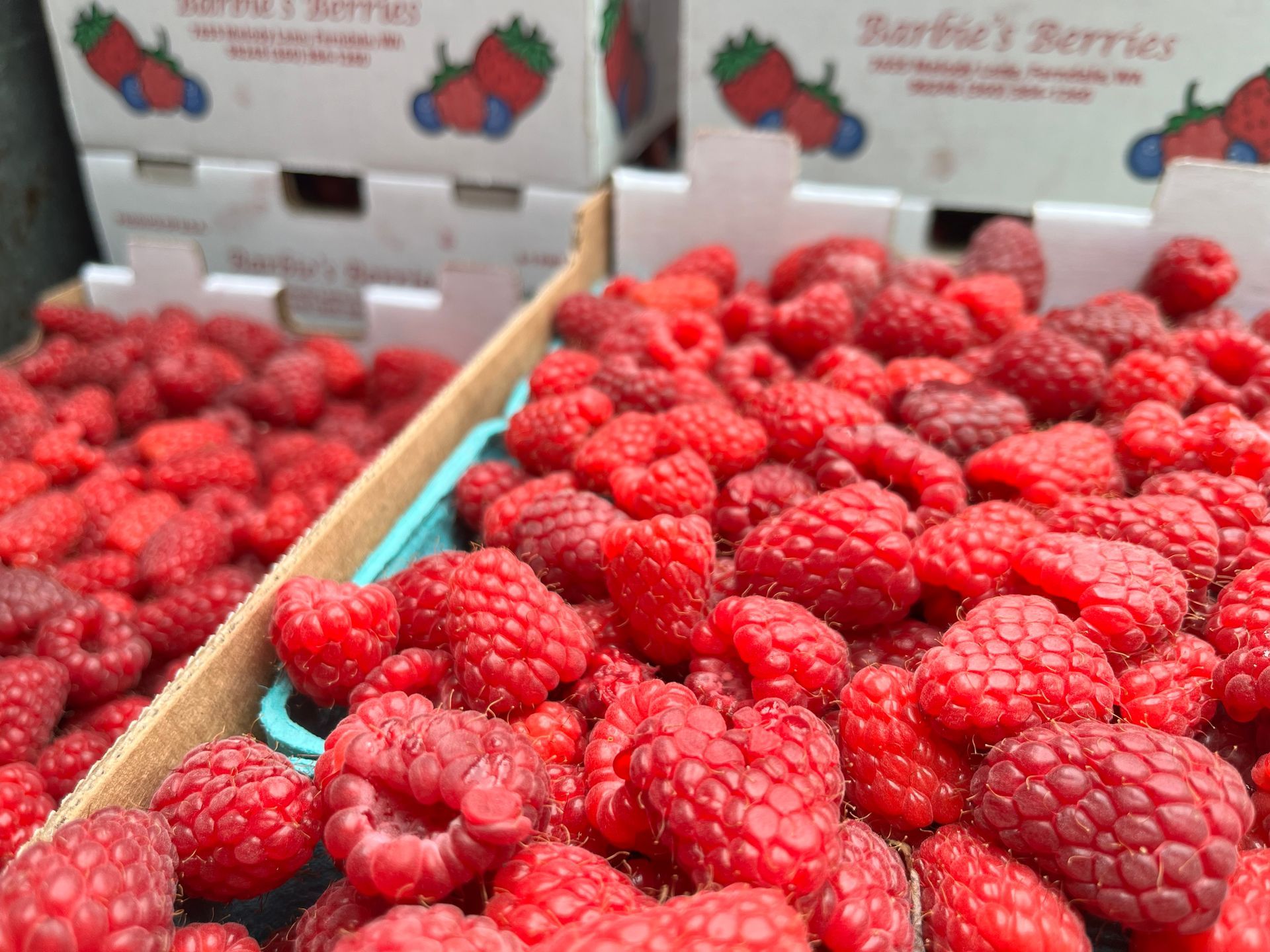 Produce Market | Everett, WA | 425-259-4702