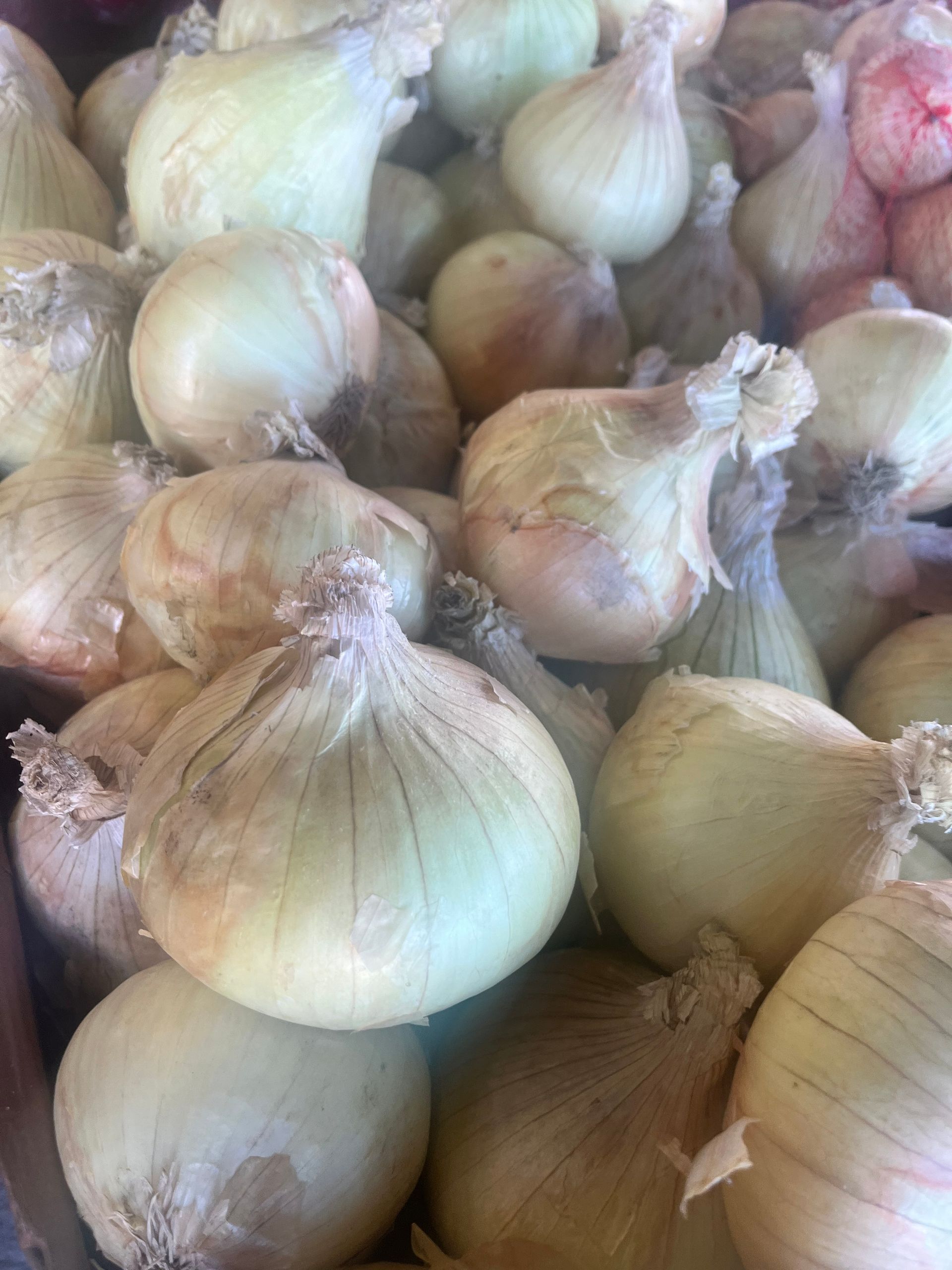 Produce Market | Everett, WA | 425-259-4702