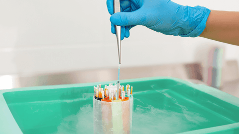 The Vitrification Process of Embryos and Oocytes in Assisted ...