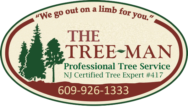 The Tree Man | South Jersey Tree Service