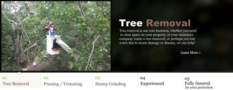 The Tree Man | South Jersey Tree Service