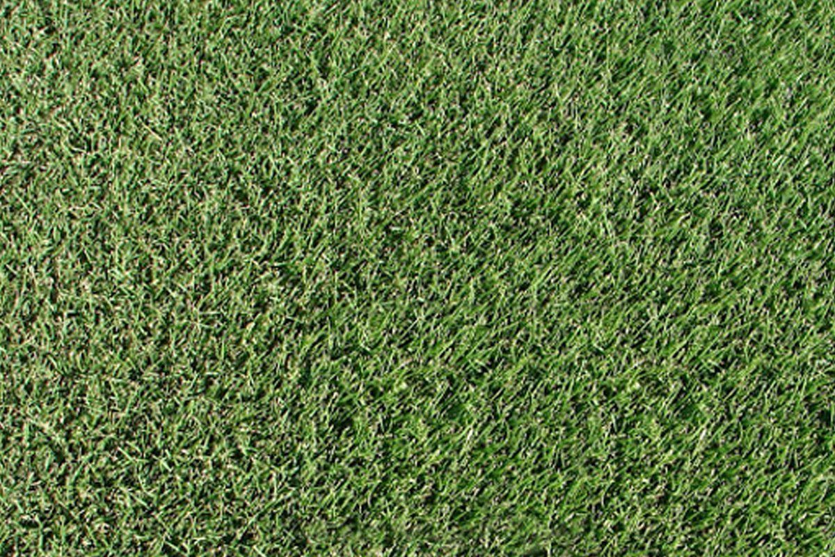 Zeon – Zoysia – Mata-Turf
