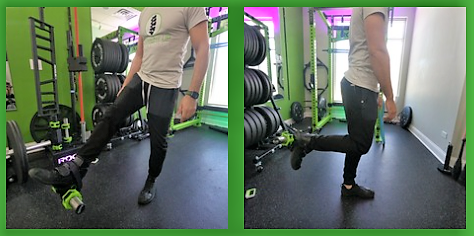 monkey feet - munimoro.gob.pe