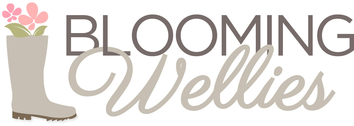 Chameleon Small Business Marketing and Website Design