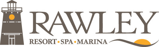 Chameleon Small Business Marketing and Website Design