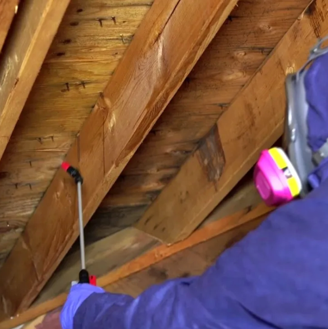 Home [www.arinsulationwa.com]