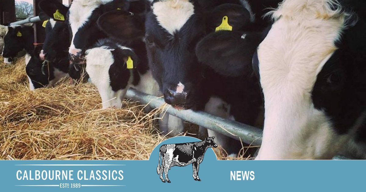 Calbourne Classics | Latest news from the farm
