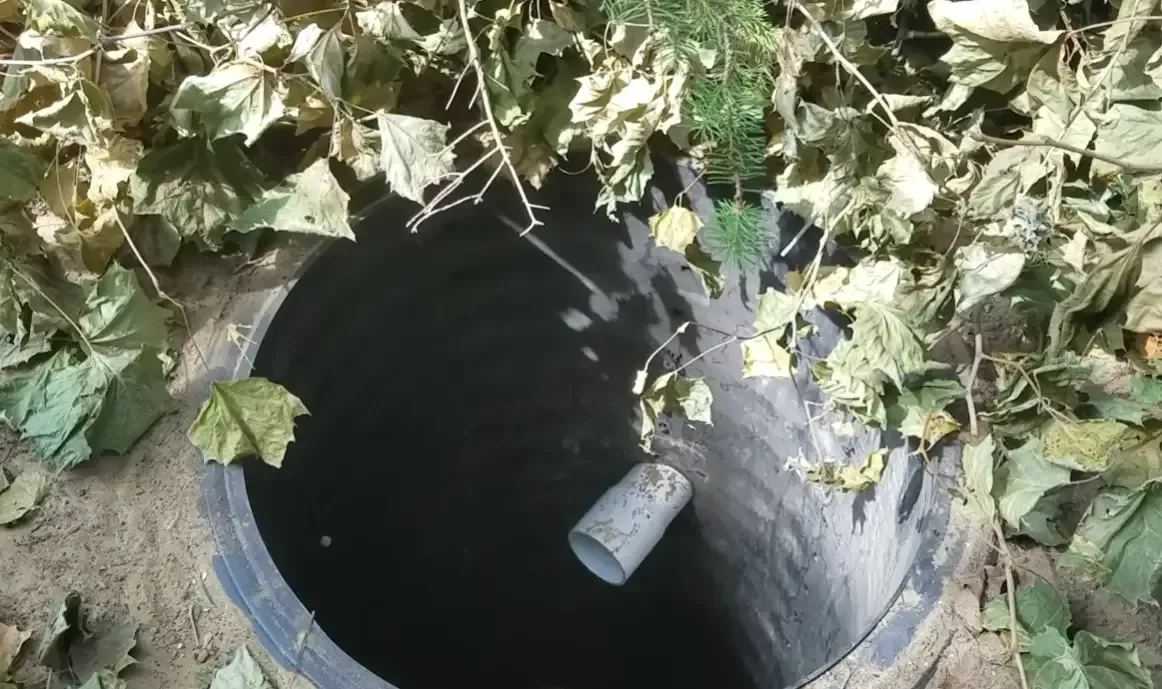 Dry Well Backing Up Into Basement: Causes and Fixes