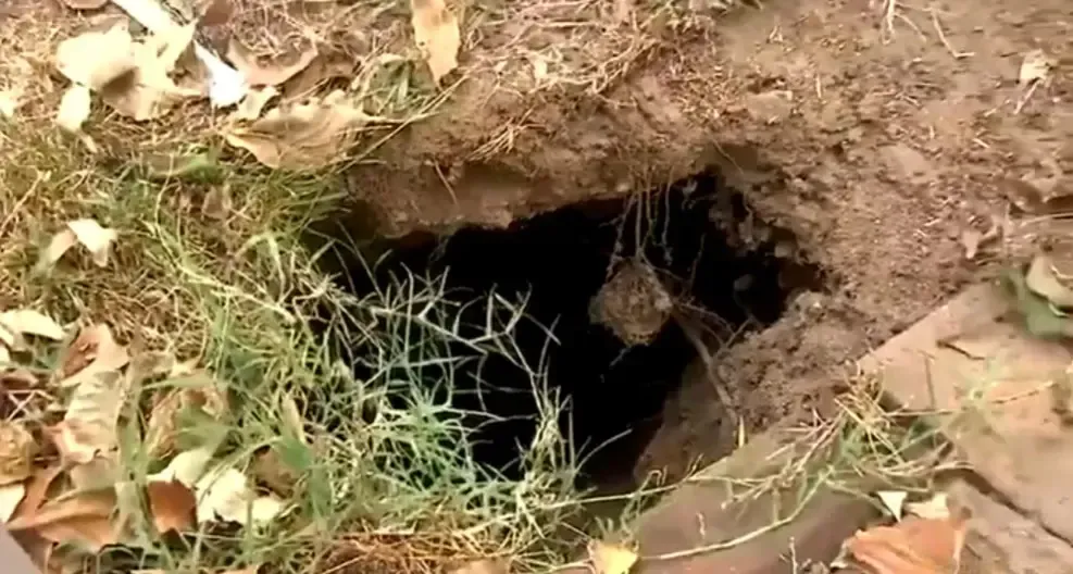 7 Signs of a Sinkhole Under Your House You Shouldn’t Ignore