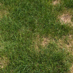 Beautiful Lawns | Tinton Falls, NJ | Dirt & Turf