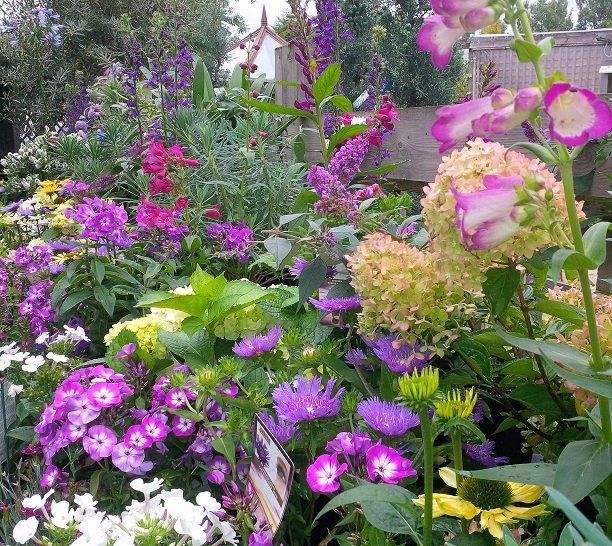 Visit the reputable Greenbrook Garden Centre in Chelmsford