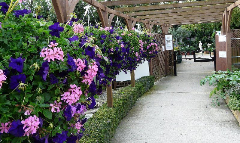 Visit the reputable Greenbrook Garden Centre in Chelmsford