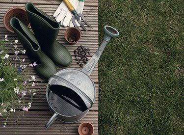 Visit the reputable Greenbrook Garden Centre in Chelmsford