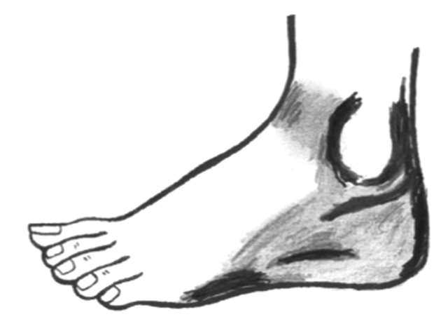 Reflexology For Back Spine