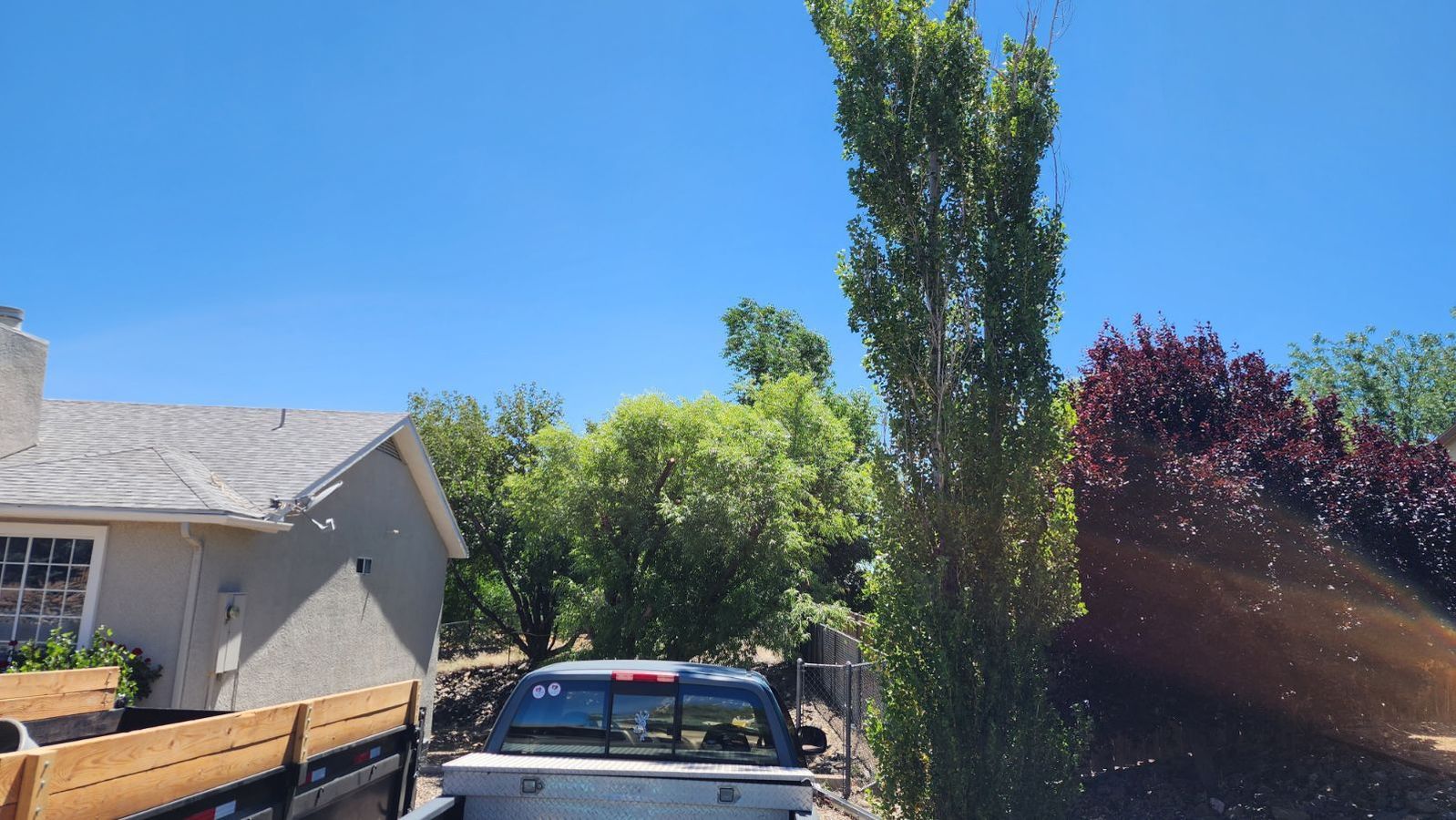 Tree Removal & Trimming Company | Prescott & Prescott Valley, AZ | A ...