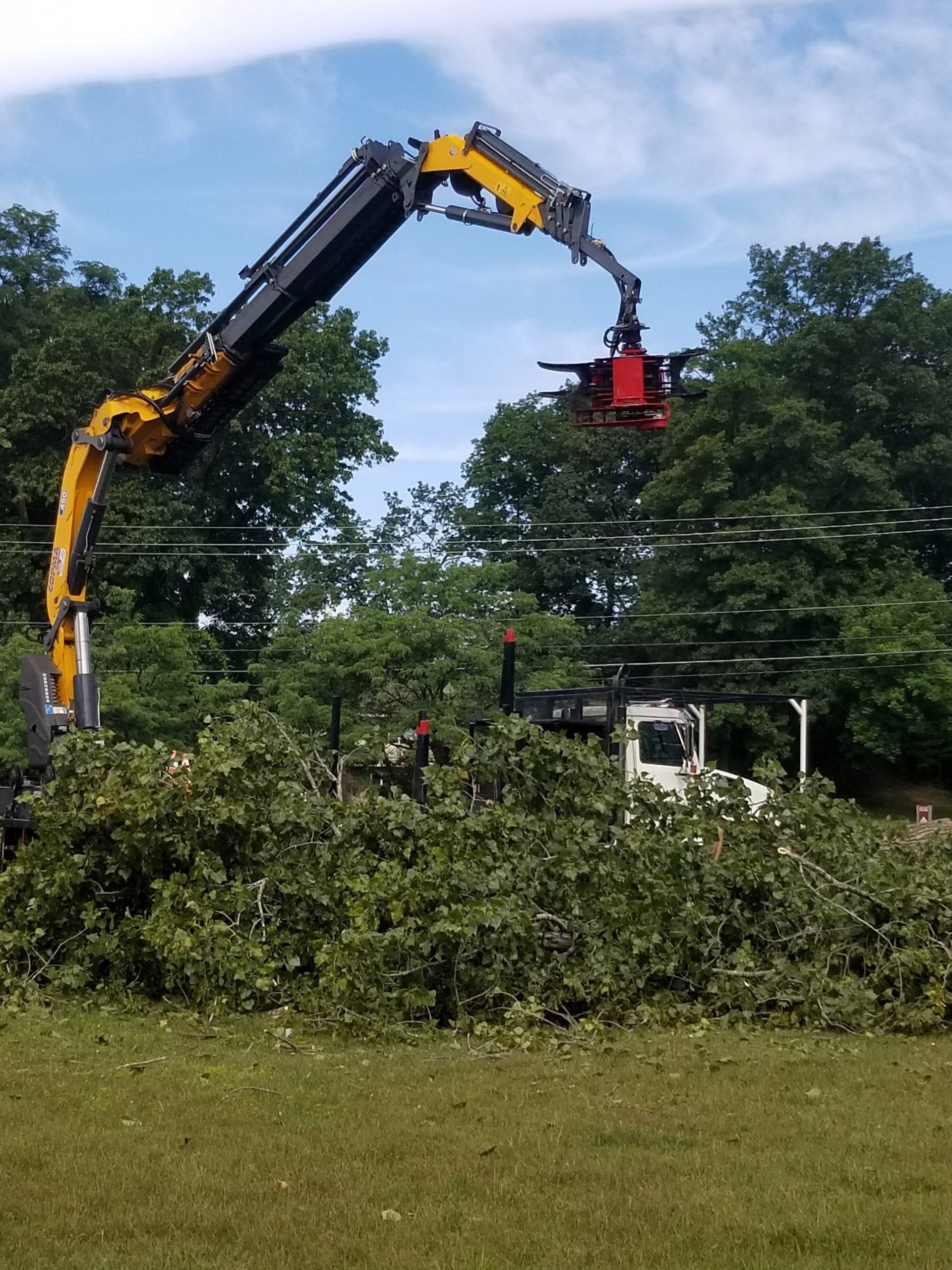 Tree Removal, Tree Trimming, Stump Removal Clifton Park, NY - Clear ...