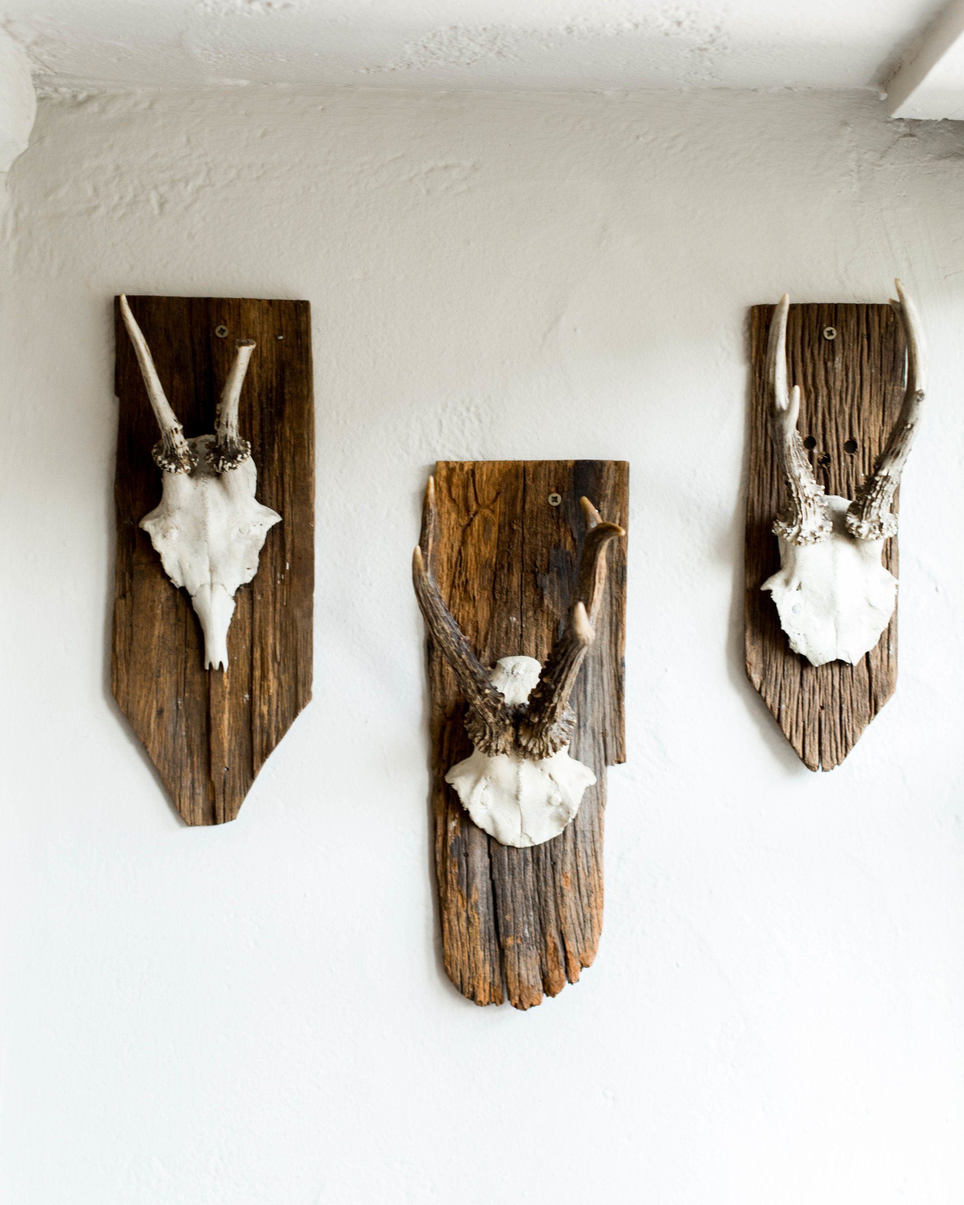 The Orange Tree, Chadwick End - Restaurant and Country Pub in Solihull ...