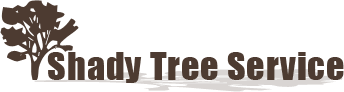 Tree Service | Mechanicsville, VA