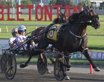 Red & White Flies High On Hambo Day