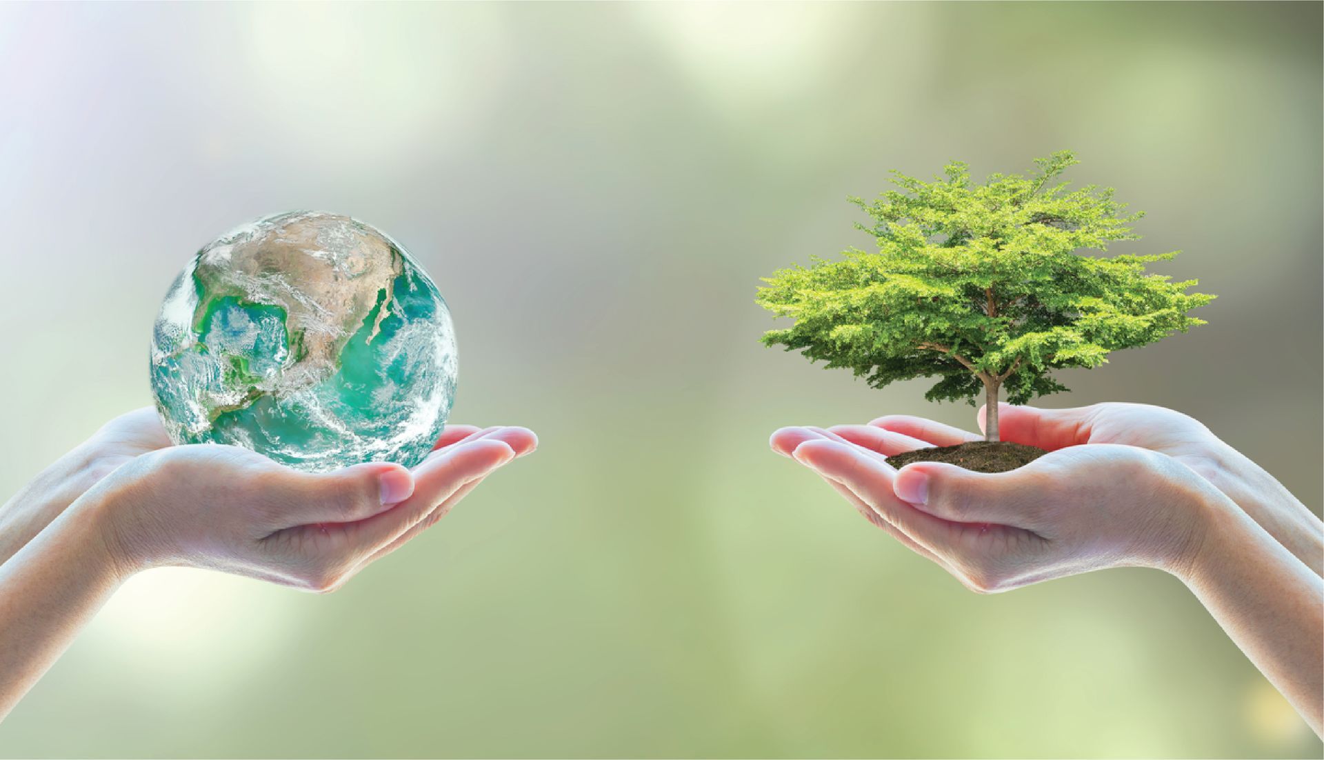 About TS Packaging | Plastic Packaging & Printing Malaysia