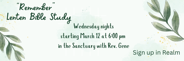 Home [trinitynmb.com]