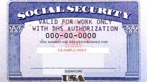 DHS Annotated US Social Security Card versus an Unannotated US Social ...
