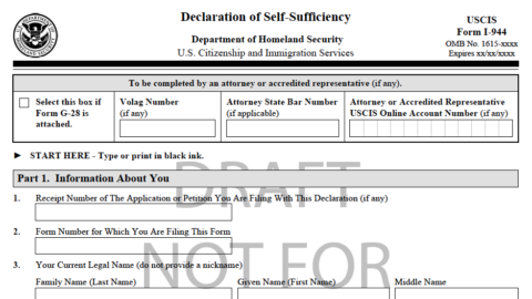 I-944: What is it and How it affects Green Card Filings