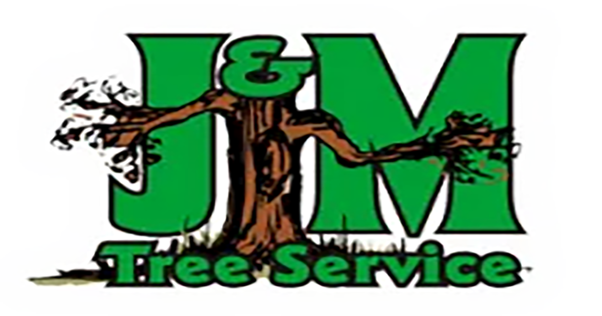 Tree Lawn Services Flint Mi J M Tree Service