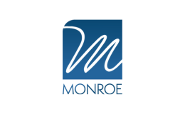 Professional Services | Empresaria Group