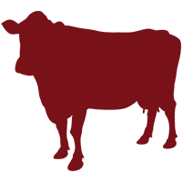 Breed | The Australian Senepol Cattle Breeders Association