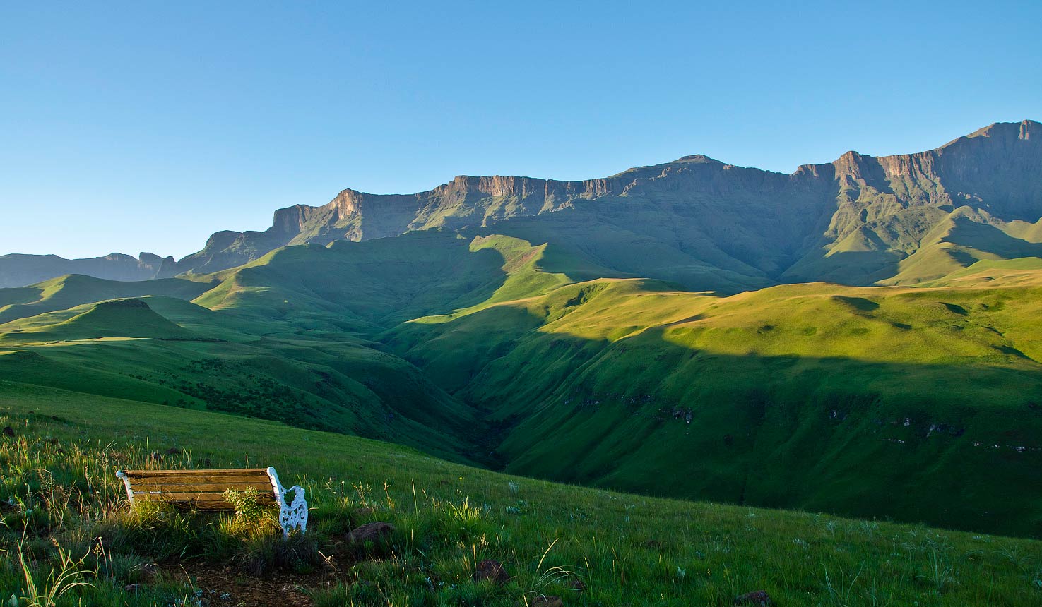 Best experiences & activities in DRAKENSBERG REGION from local experts