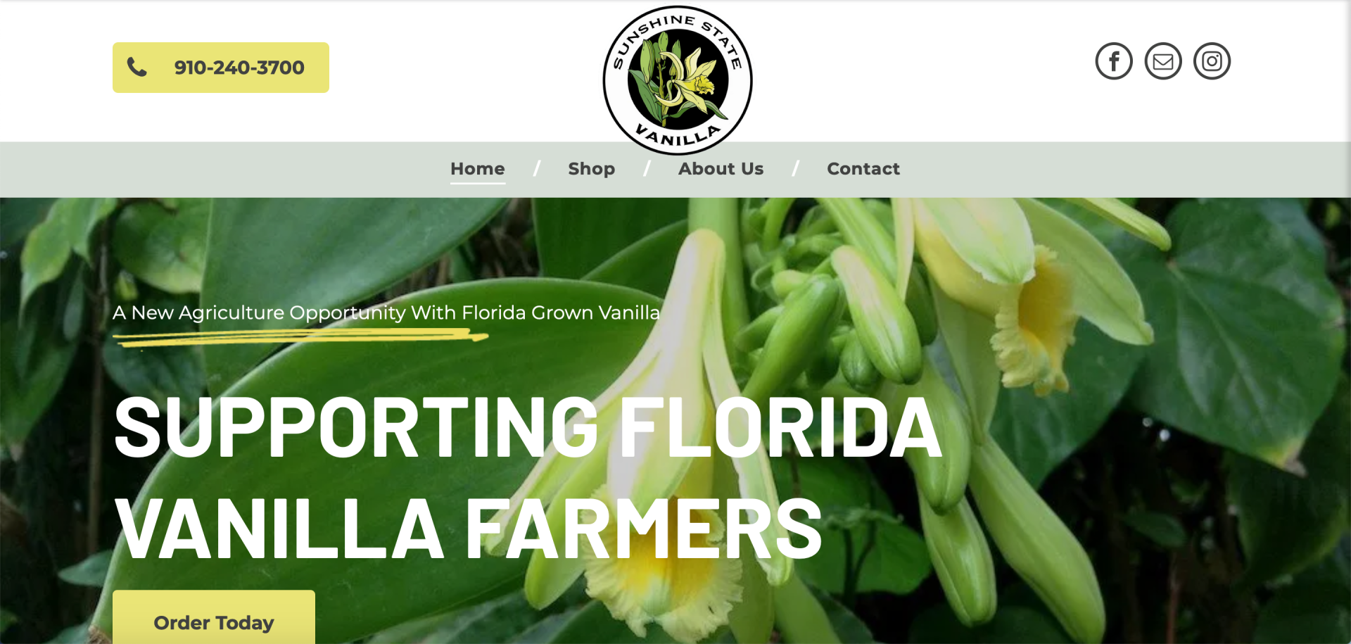 Sunshine State Vanilla | Growing Vanilla in Florida