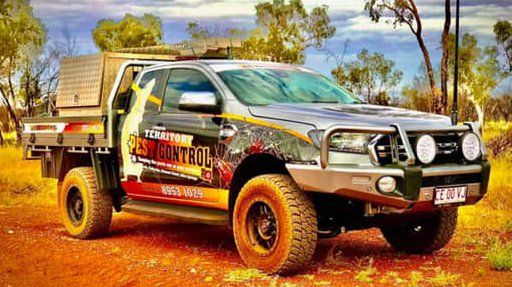 Pest Control Darwin | Territory Pest Control