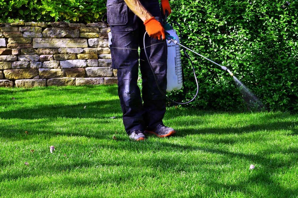 Pest Control Darwin | Territory Pest Control