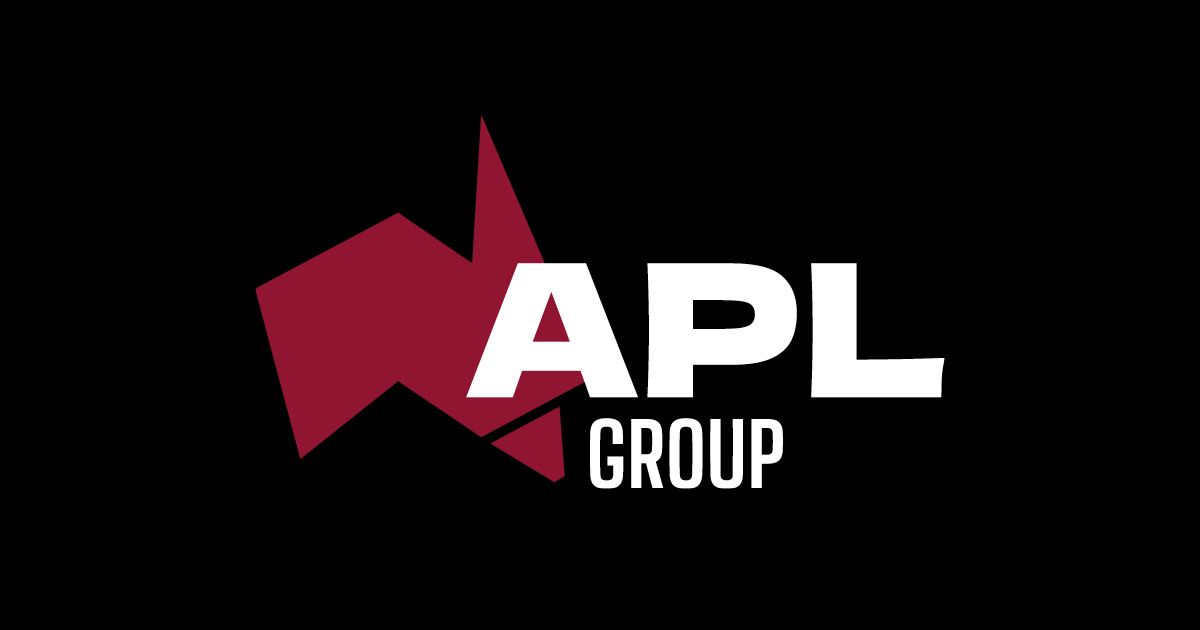 Brand Identity, APL Group - Case Study | dms CREATiVE