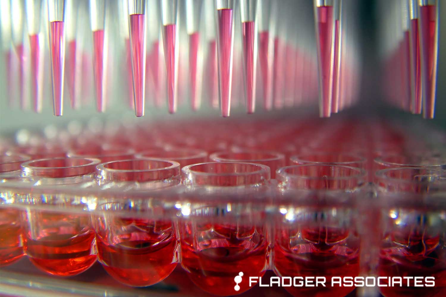 What Is the Role of a Bioassay?