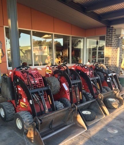 2020 How Much Does Dingo Hire Cost