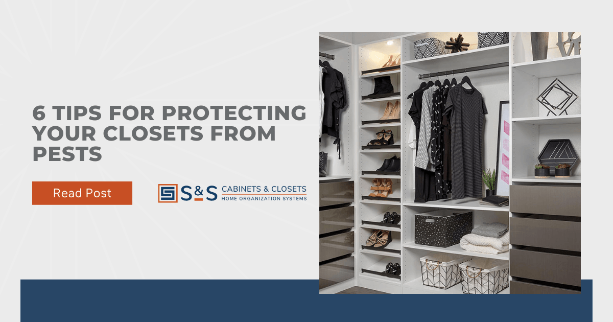 6 Tips for Protecting Your Closets From Pests