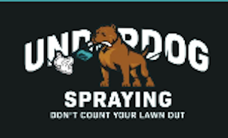 Transforming Lawns with Expert Care | UNDERDOG SPRAYING