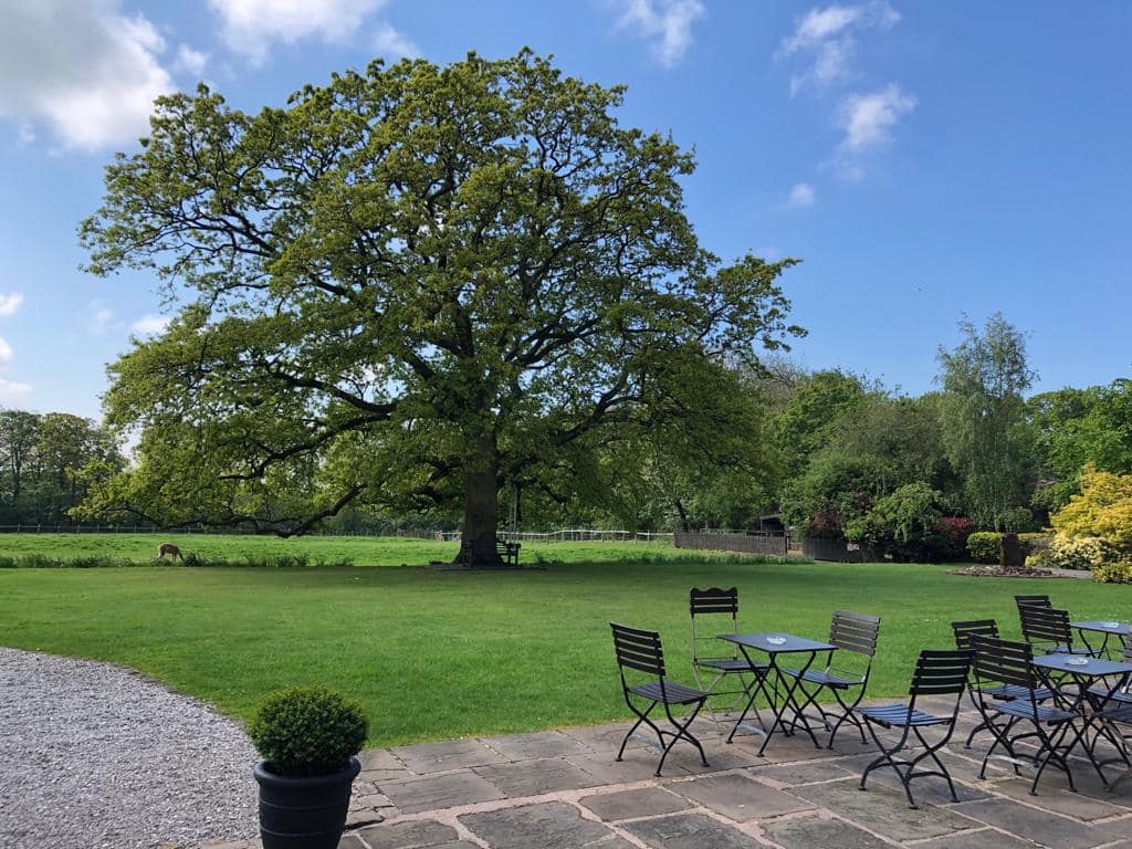 Weddings at Singleton Lodge