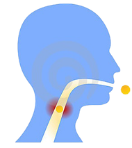 North Shore Ear Nose and Throat - Danvers & Beverly, MA