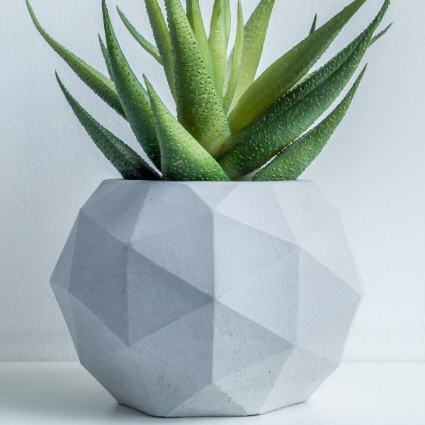 A Sea of Bloom. Flowers, gifts and beautiful things.