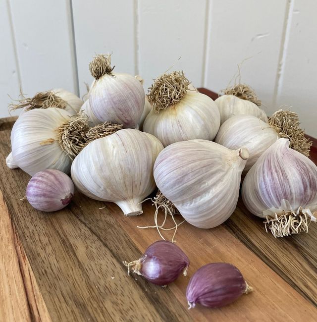 Coalinga Garlic Company - Home