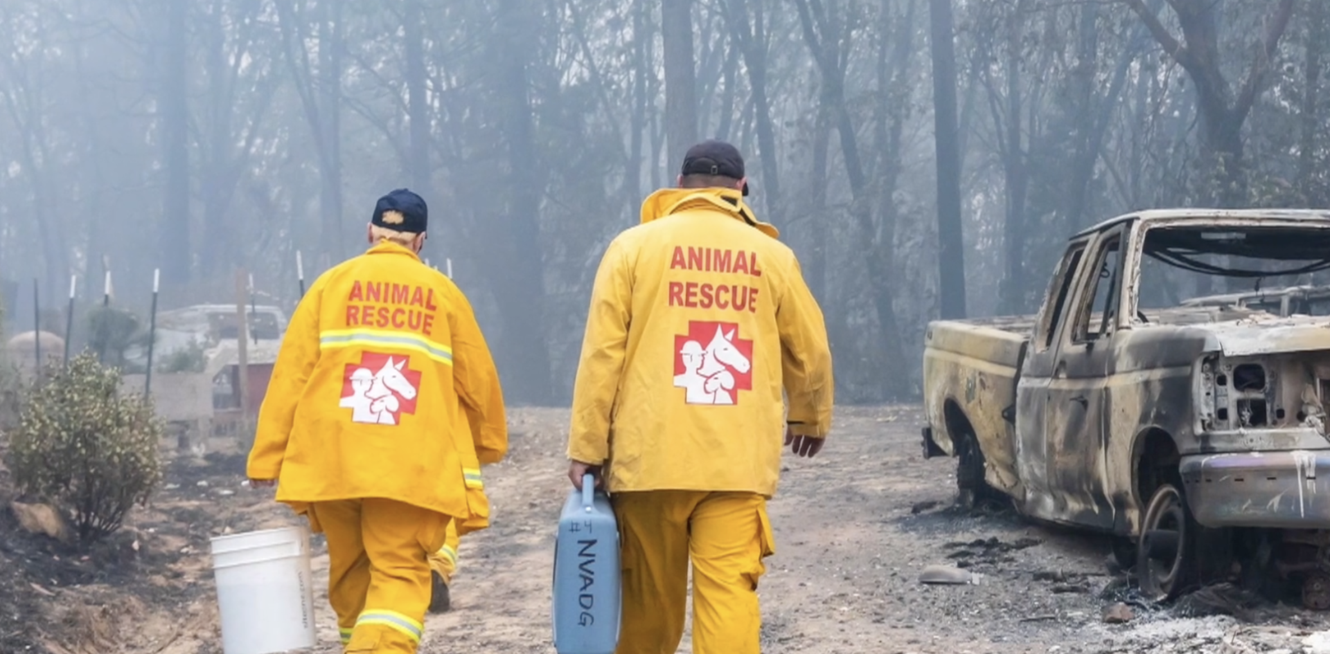Wildfire Rescue Through the Lens of a Cape Cod Photographer