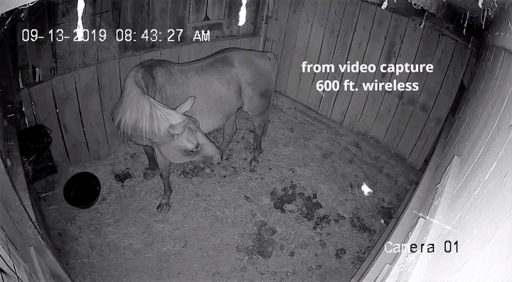 Our Traditional Wireless Barn Camera requires no Internet and displays ...