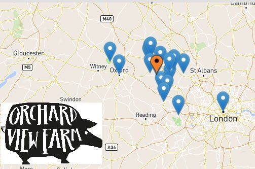 Orchard View Farm Camping: Things to do