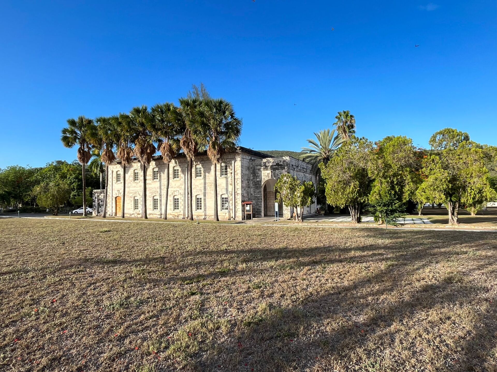 UWI memories and musings - Sept 2022 by Julie Coulton.