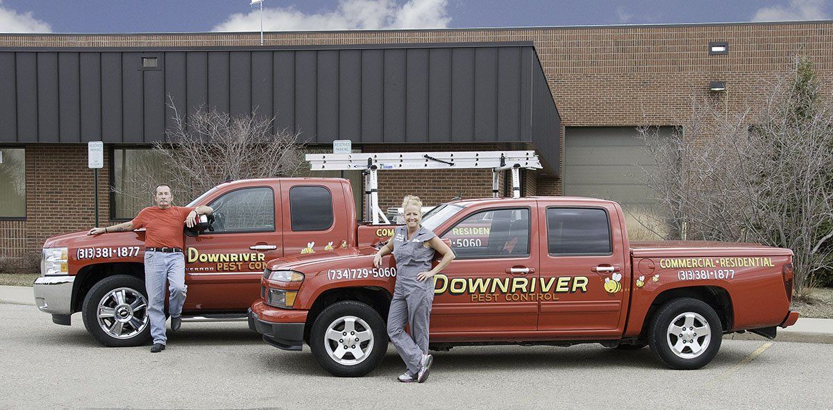 Exterminator | Romulus, Michigan | Down River Pest Control